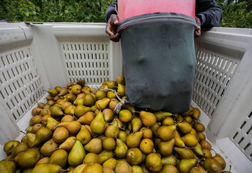 OFVGA supports provincial legislation protecting vulnerable workers ...